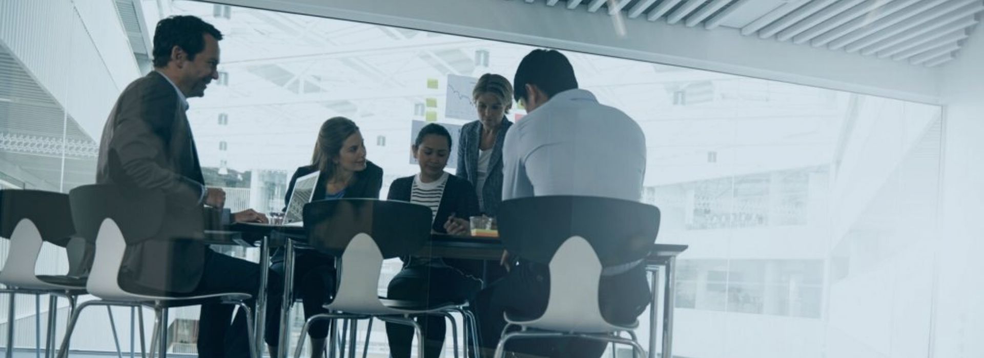 Strategic Development Network | Our partners